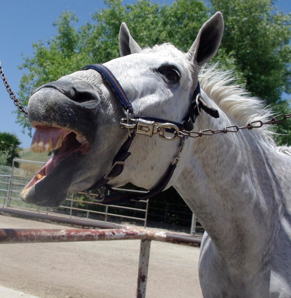 Merlin 25 - Praises and Prayers